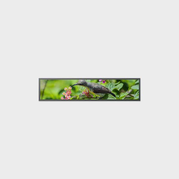 Quality 37.8 Inch Advertising LCD Display Bar Type 1920*387 LVDS 2000nits for sale