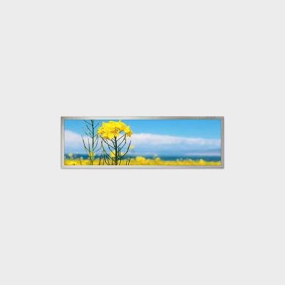 China 19.4 polegadas Tipo de barra LCD 1920*510 LVDS 500nits à venda