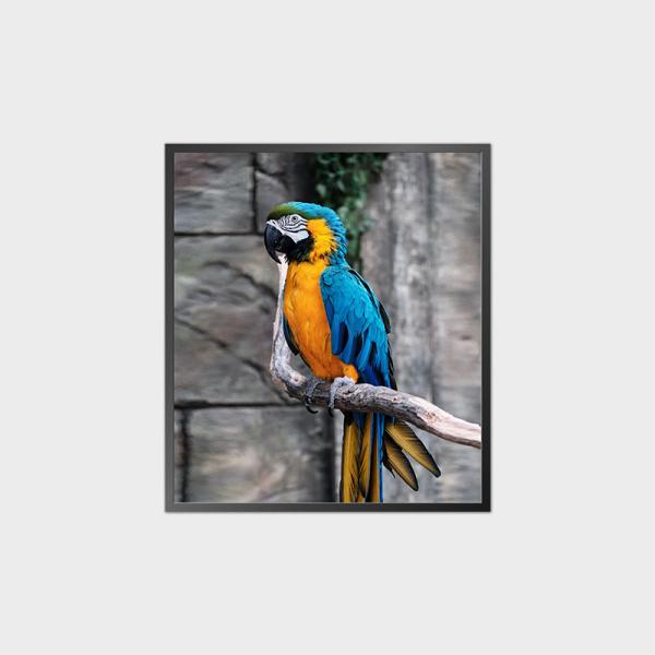 Quality High Contrast Square LCD Panel 35.6 Inch 950*1080 500nit With Android System for sale
