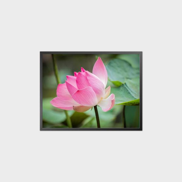 Quality 34.3 Inch Square LCD Panel 1856*1420 1500 Nits Display LCD Module for sale