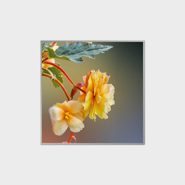 Quality 33.2 Inch Square LCD Display 420nits LVDS LCD Module For Shopping Malls for sale