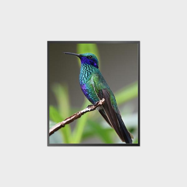 Quality 27.9 Inch Square LCD Screen 1920*2160 500nits 0-50℃  V-By-One LCD Module Display for sale
