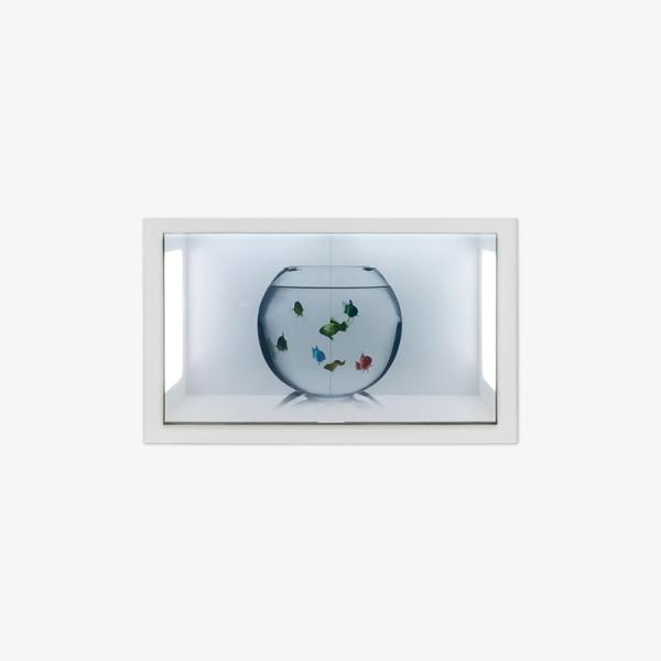 Quality 90 Inch Transparent LCD Screen Display 1920*1080 Transparent Display Screen for sale