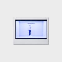 Quality 21.5 Inch Transparent LCD Display Screen 1920*1080 Clear LCD Screen for sale