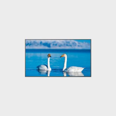 Chine Panneau LCD haute luminosité 65 pouces 1920*1080 2000 nits LCMA-RX0650GB08-Z200 à vendre