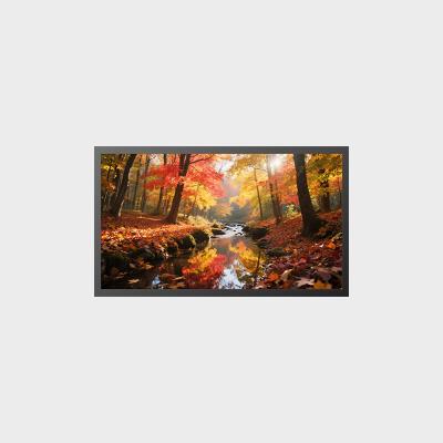 China 18.5 Inch LCD Panel Hight Brightness 2500nits LCMA-RX0185GB09-Z250 for sale