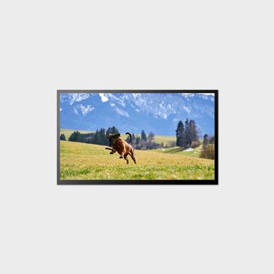 China 23.8 inch LCD Display Support Outdoor Application With LVDS Interface Connector LCMA-RX0238GA01-C150 for sale