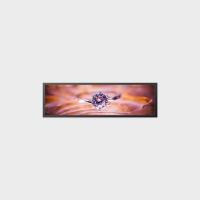 China 19.5 Inch Bar Type LCD Display 1920*536 Solution Support Smart Home Application for sale