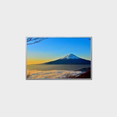 China 10.1 inch TFT LCD Display Outdoor 1000nits High Brightness Solution for sale