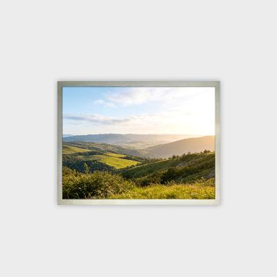 China 15 Inch TFT LCD Display1024*768 Resolution IPS Support 1500nits Brightness for sale