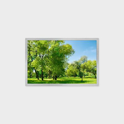 China 12.1 Inch TFT LCD Display With 1280*800 Resolution IPS With LVDS Interface for sale