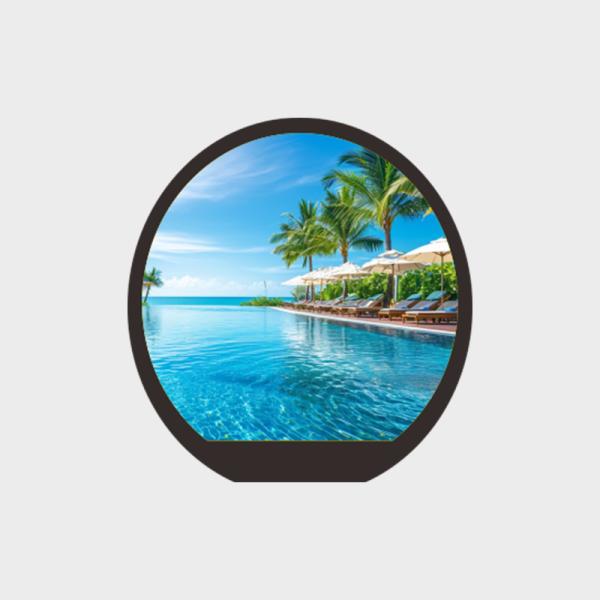 Quality 0.99 Inch Round LCD With 450nits Brightness Solution Support Smart Watch Application for sale