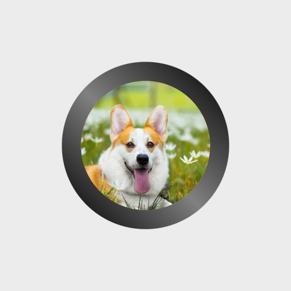 Quality 1.28 Inch Round LCD 240*240 Resolution With 500nits Brightness for sale