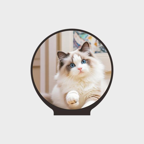 Quality 2.76 Inch Round LCD 480*480 Resolution With 300nits Brightness IPS View Angle for sale