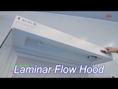 Customized Laminar Flow Hood SUS 304 Unidirectional Flow Class 100 - 10000