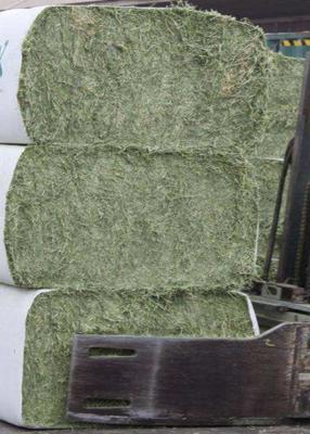 Cina Panno di imballaggio tessuto biodegradabile della balla di fieno Mulituse non tossico 60 GSM - 110 GSM in vendita
