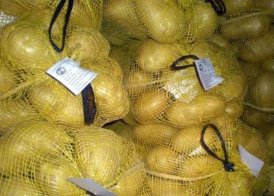 China PE Polyethylene Plastic Woven Mesh Fruit And Vegetable Bags for sale