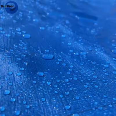 China 10x10 Tarp PE Heavy Duty Poly Tarps 20 Mil for sale