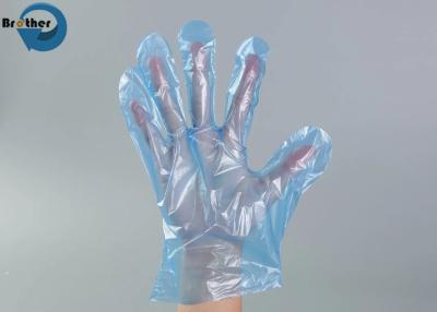 China Safe Glove, Disposable PE Glove, Gloves Supplies, Disposable Sugcal Gloves, Hand Protector Glove for sale