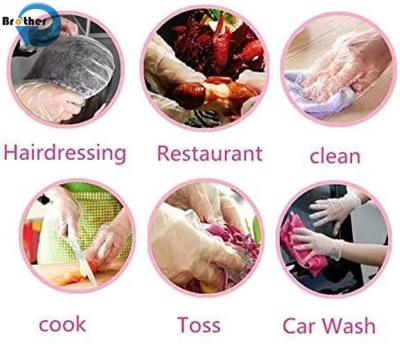 China Waterproof Disposable Plastic Gloves Food Grade PE for Storage & Industry Use Manufactured in China for sale