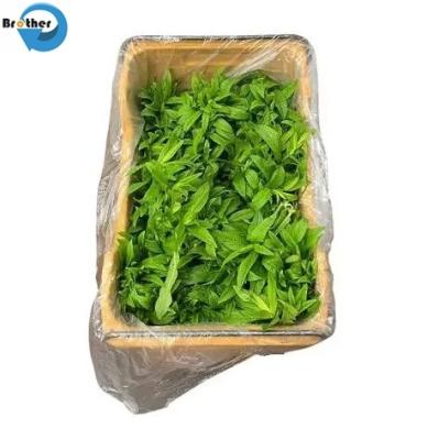 China Custom Big Size Clear Good Quality Square Bottom Bags and Liners for Wholesale for sale