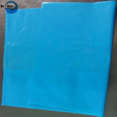 China Manufacturer Wholesale Food Grade Low Density Clear Blue Box / Cartons Liners for Vegetables / Candy for sale