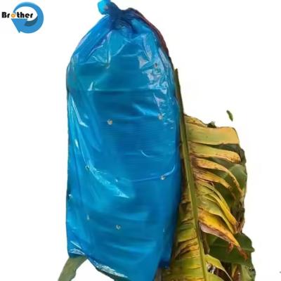 China China Factory Direct Wholesale Blue Perforated Polyethylene Plastic Protection Banana Bunch Cover for sale