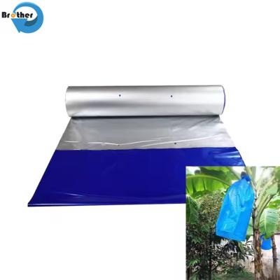 China Perforated Polyethylene Banana Bunch Protection Bag for sale