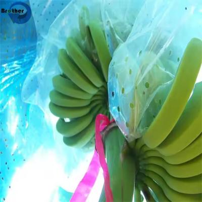 China Hot Sale Agricultural Biodegradable HDPE Material Blue Perforated Polyethylene Banana Protection Bag for sale