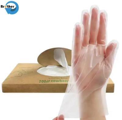China Transparent Biodegradable Disposable Gloves Middle Size 100pcs/Box for Parties for sale