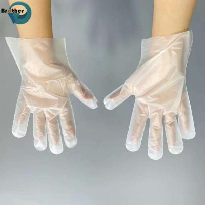 China 100% Biodegradable Transparent Disposable Waterproof Household Compostable Gloves Food Grade for Food Safety for sale