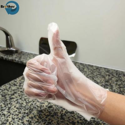 China Biodegradable PLA Gloves Disposable Biodegradable Gloves Disposable Tableware Food Grade Gloves for sale