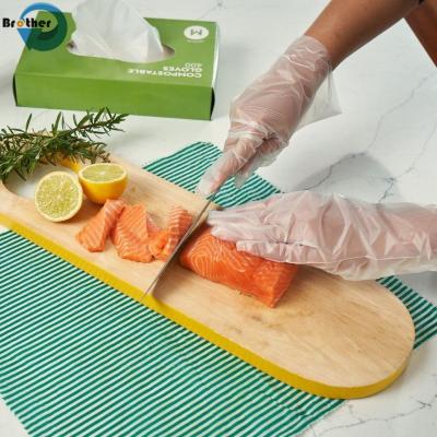 China Disposable Biodegradable Compostable Plastic Gloves Customized Color for Kitchen for sale