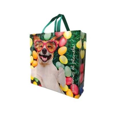 China Glossy PP Woven Laminated Tote Packaging Sewing Reusable Webbing Handle Gift Fashion Eco-Friendly Shopping Bag à venda