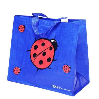 Cina Durable Glossy Laminated PP Woven Shopping Tote Bag with Handle in vendita