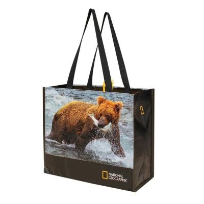 Cina Durable Glossy Laminated PP Woven Shopping Tote Bag with Handle in vendita