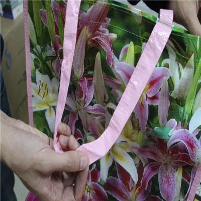 Cina Manufacturer PP Reusable Shopping Eco Friendly China PP Woven Bags in vendita