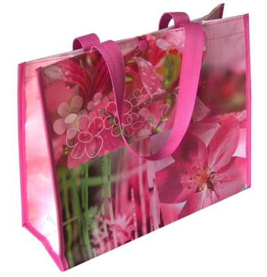 Cina Manufacturer PP Reusable Shopping Eco Friendly China PP Woven Bags in vendita