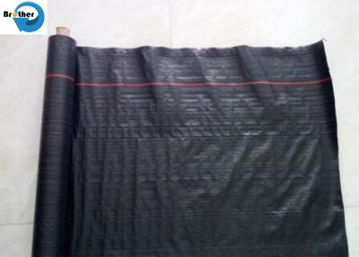 Cina Sun UV Radiation Protection PP Spunbond Nonwoven Fabric Rolls Non Woven Weed Barrier Control Landscape Fabric in vendita