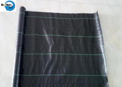 Cina Sun UV Radiation Protection PP Spunbond Nonwoven Fabric Rolls Non Woven Weed Barrier Control Landscape Fabric in vendita
