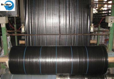 China UV Treated Agriculture Weed Control Mat Black Plastic Mulch Ground Cover Weed Barrier Fabric en venta