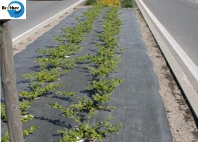 China Agricultural Ground Cover Supplier Commercial Landscape Fabric Anti Weed Matting en venta
