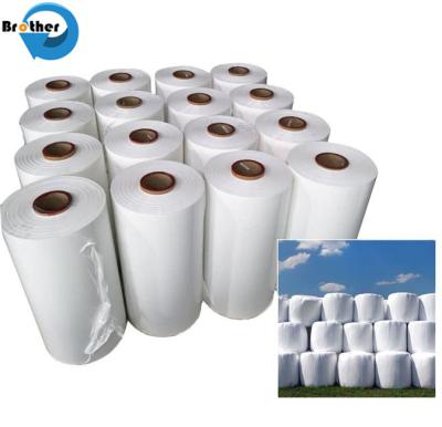 Cina Clear Cast LLDPE Stretch Silage Wrap Film Stretch Foil Pallet Power Strech Wrap Film in vendita