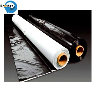 Cina Farm Use LLDPE Plastic Stretch Silage Wrap Film for Mini Round Hay Baler in vendita