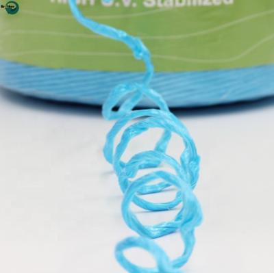 China Factory Direct Sales Baler Twine Polypropylene Baler Twine For Agriculture for sale