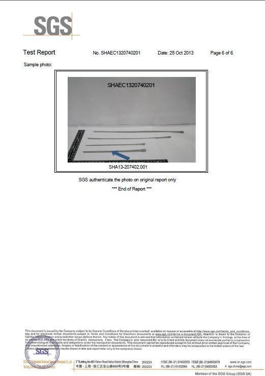  - YUEQING LKS CABLE TIE CO.,LTD