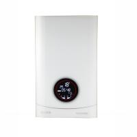 China Hot Sell Energy Saving Double Function Smart Wall Combi Boiler for sale