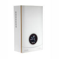 China Hot Sell Energy Saving Double Function Smart Wall Combi Boiler for sale