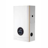 China Hot Sell Energy Saving Double Function Smart Wall Combi Boiler for sale
