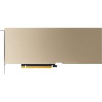 China NVIDIA TESLA A10 Tensor Core GPU 24GB GDDR6 PCIe Gen4 Single Slot for sale